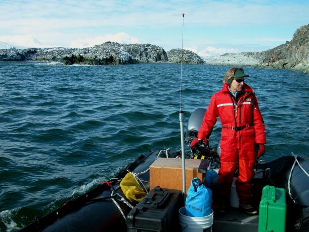The Ocean Stewards | Discovery